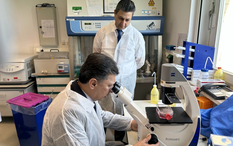 Azərbaycan Tibb Universiteti | Almaniyada çalışan Azərbaycanlı ...